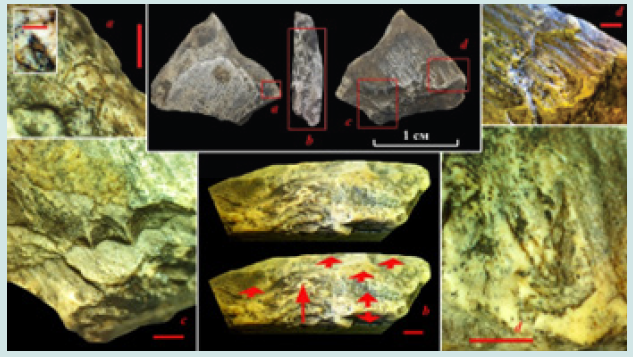 Whether it is Possible to Recognize Paleolithic Children’s Toys?