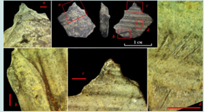 Whether it is Possible to Recognize Paleolithic Children’s Toys?