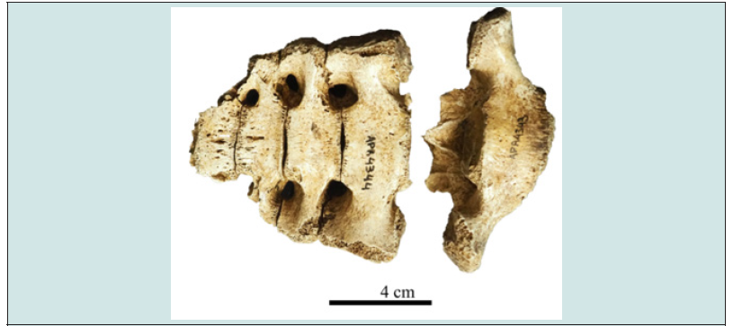 Copyright © All rights are reserved by George Iliopoulos. 1163 Journal ...