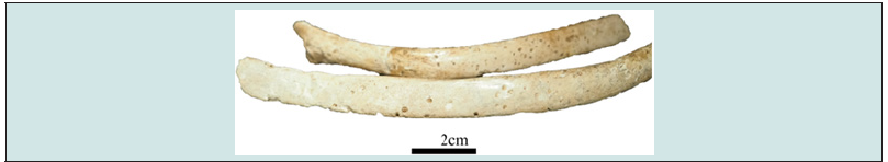 Copyright © All rights are reserved by George Iliopoulos. 1163 Journal ...