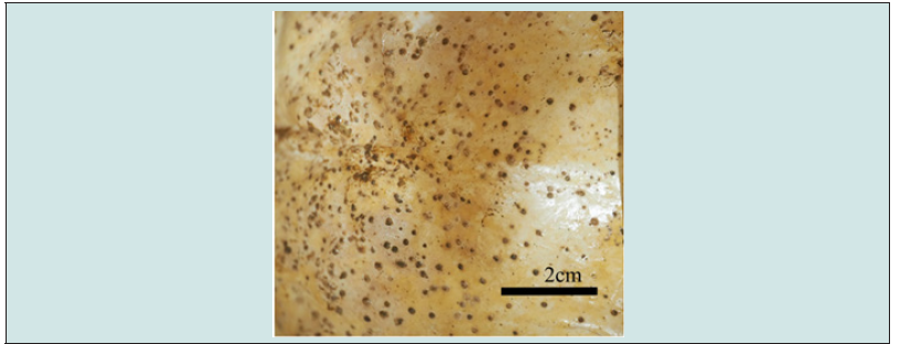 Copyright © All rights are reserved by George Iliopoulos. 1163 Journal ...