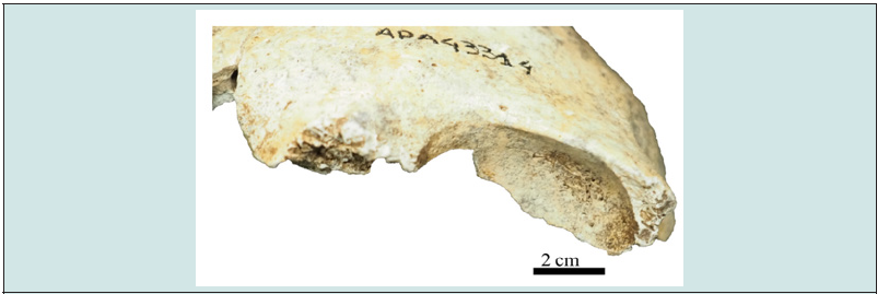 Copyright © All rights are reserved by George Iliopoulos. 1163 Journal ...