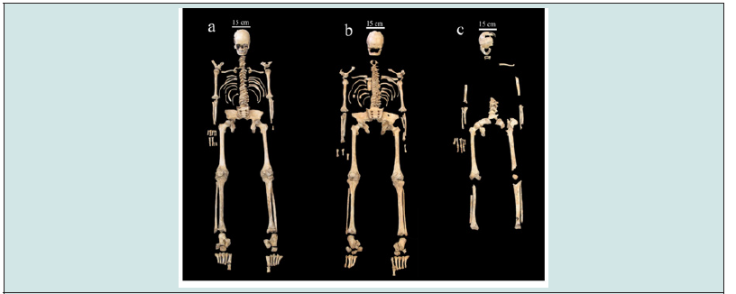 Copyright © All rights are reserved by George Iliopoulos. 1163 Journal ...
